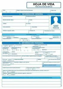 Formato de Hoja de Vida Minerva 1003 y más【Descargar】