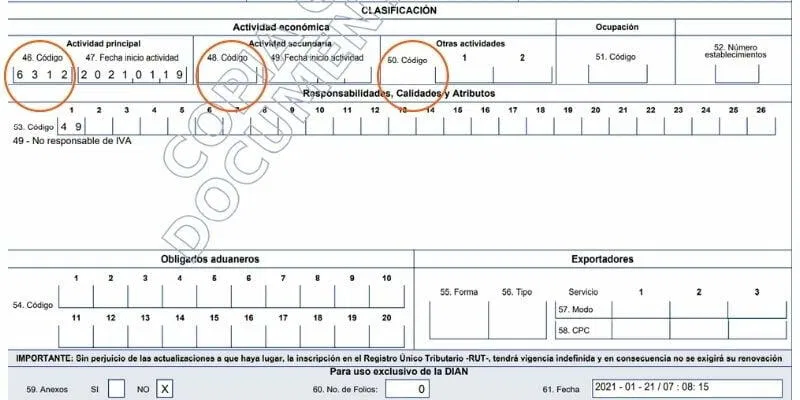 Lista De Códigos Ciiu De Actividades Económicas Dian Rut